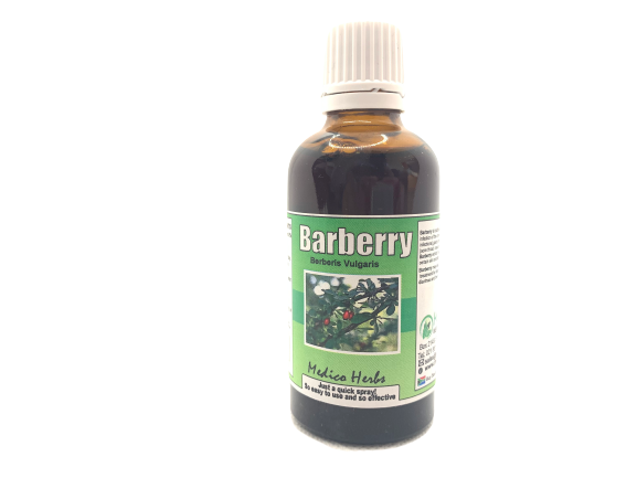 Barberry Drops (Berberis Vulgaris) 50 ml – Nature Nurture
