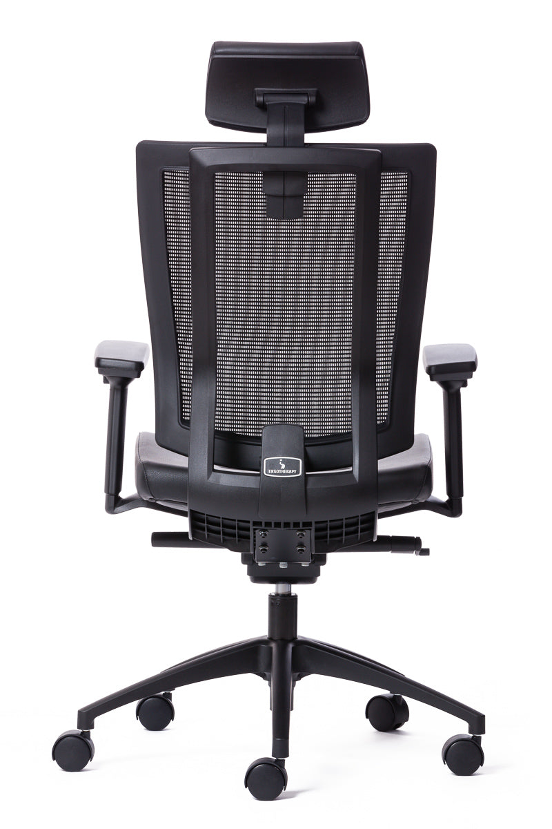 NETONE High back ergonomic office chair – Nature Nurture